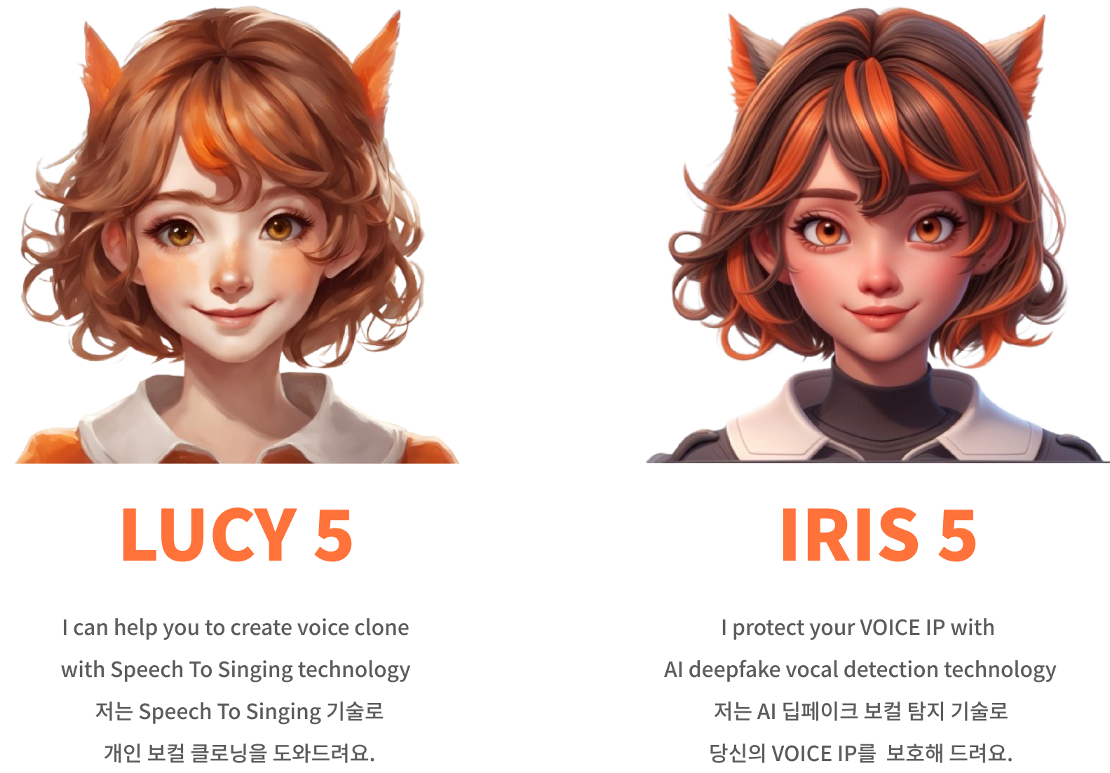 Braindeck – 브레인데크